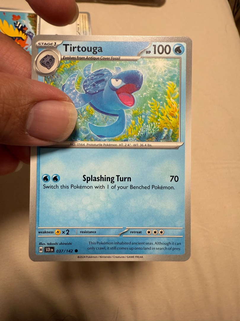 Tirtouga #37 Pokemon Stellar Crown, Hobbies & Toys, Toys & Games on ...