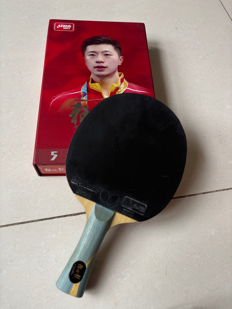 DHS Long 5 Provincial Table Tennis Blade, Sports Equipment, Sports ...