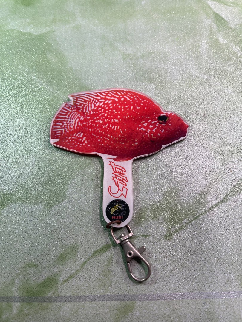Flowerhorn flower horn flare stick toy display, Pet Supplies, Homes ...