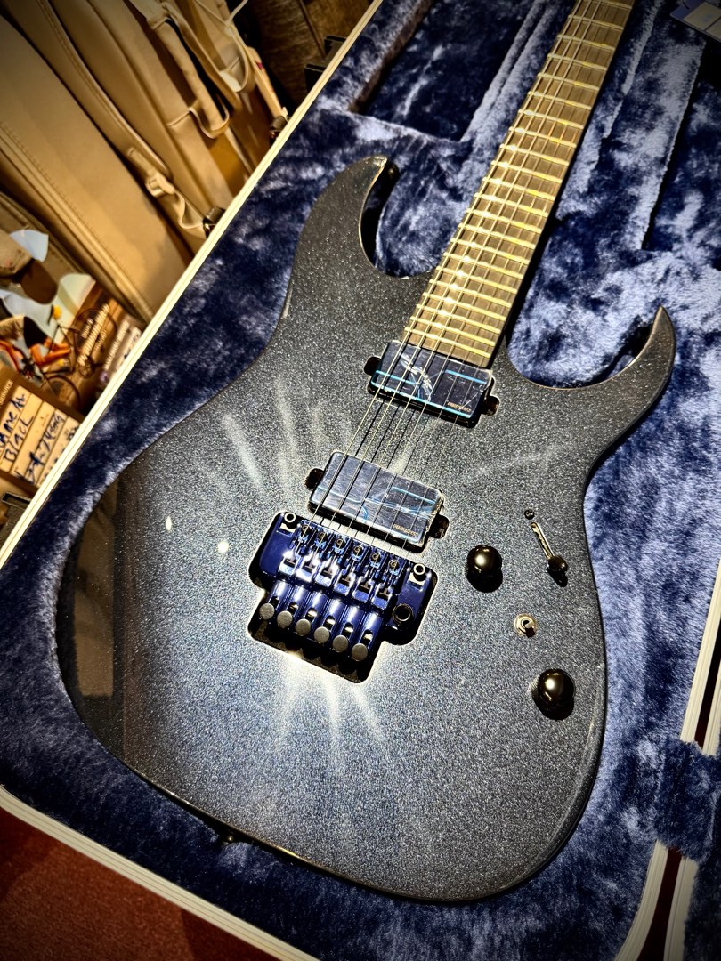 Ibanez LIMITED EDITION RGR6BSP-IPT RG Premium Fishman Fluence, Iron ...