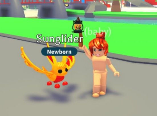 Sungliders Adopt Me Roblox, Video Gaming, Gaming Accessories, In-Game ...