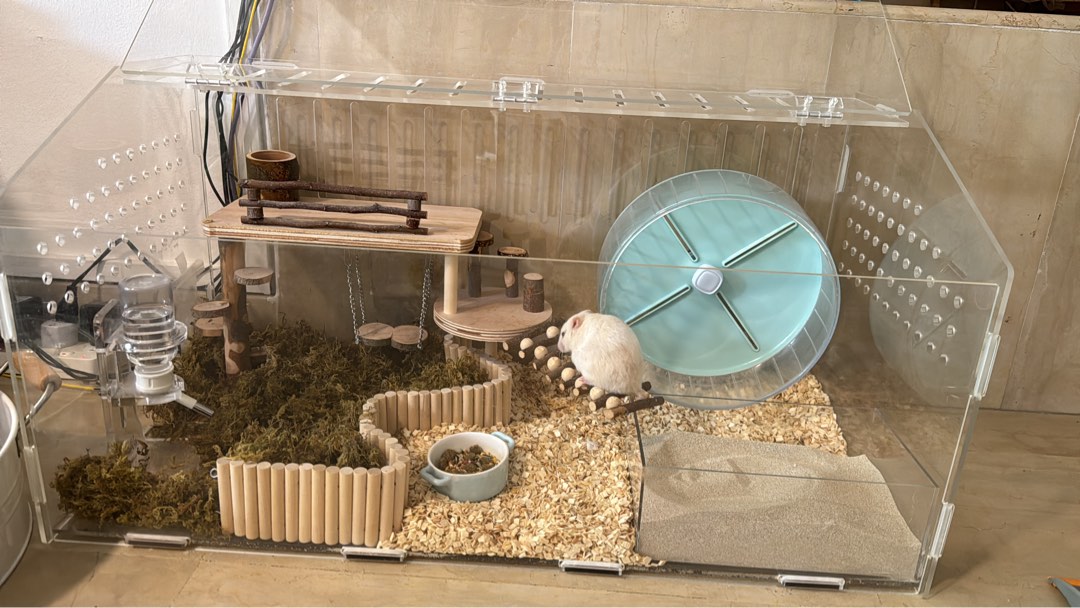 Syrian Hamster starter kit (2 setups), Pet Supplies, Homes & Other Pet ...