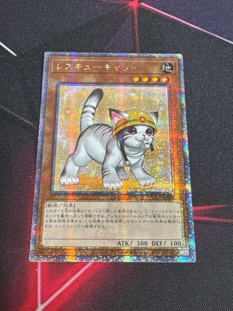 Yugioh Rescue Cat AA QSER, Hobbies & Toys, Toys & Games on Carousell