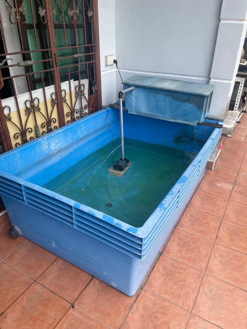 980L Blue Plastic Fish Tank + Top filter box with PVC piping ...