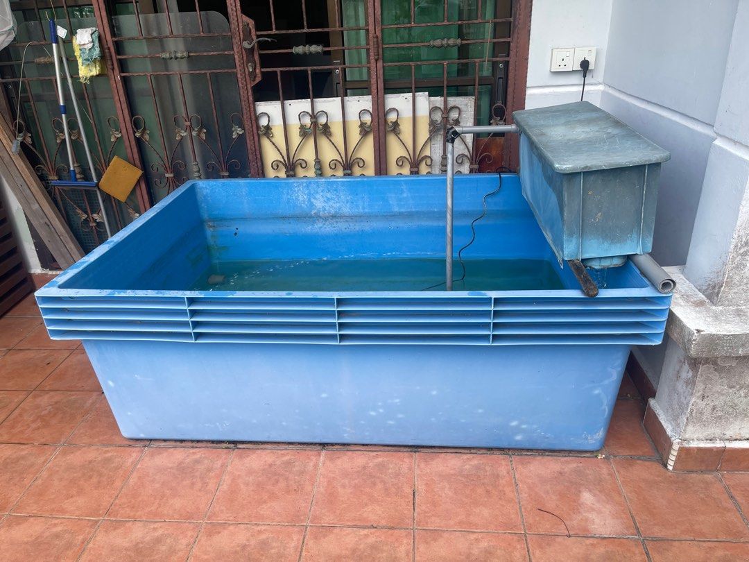980L Blue Plastic Fish Tank + Top filter box with PVC piping ...