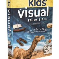 Alkitab Zondervan NIV Kids' Visual Study Bible Full Color Hardcover ...