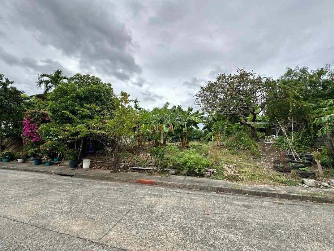 Ayala Alabang Village Residential Lot For Sale in Muntinlupa City ...