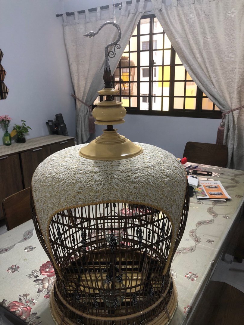 Merbok bird cage, Pet Supplies, Homes & Other Pet Accessories on Carousell