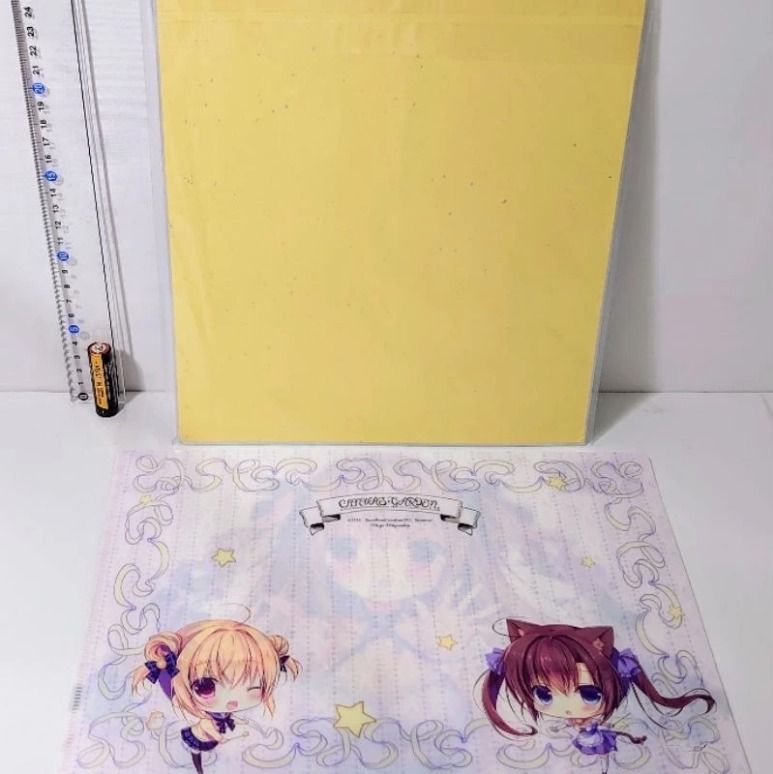 Anime Shikishi Art Board + Clearfile Folder - Official comiket merch ...