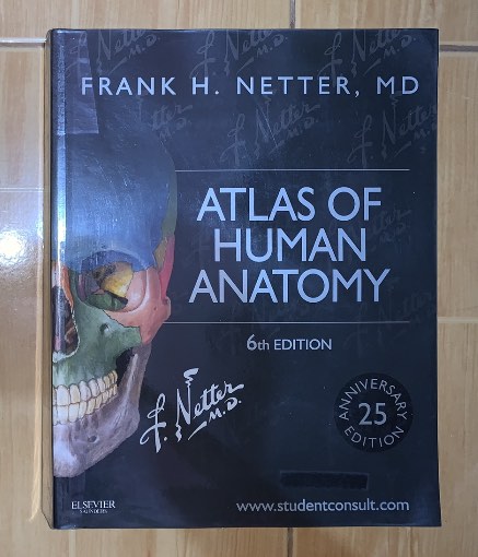 Atlas Of Human Anatomy 6th Edition Netter Hobbies Toys Books