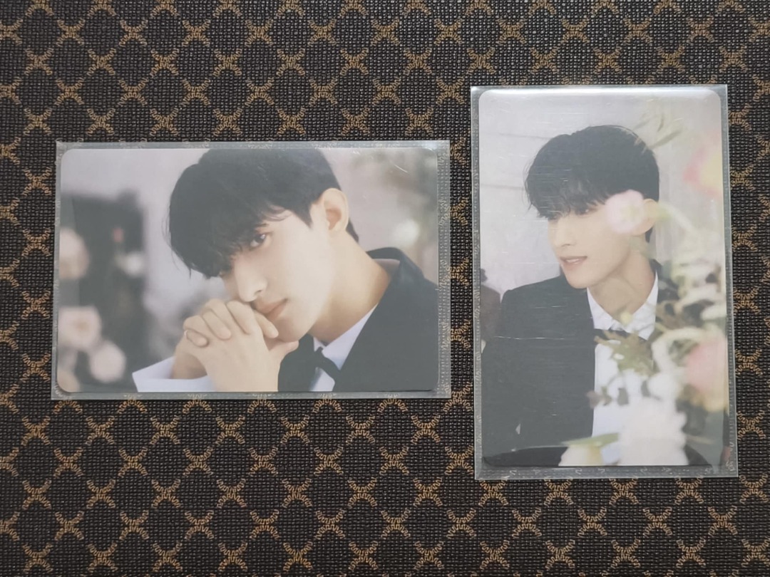 DK - OFFICIAL Seventeen carat version FML photocard set (tingi from album), Hobbies & Toys ...