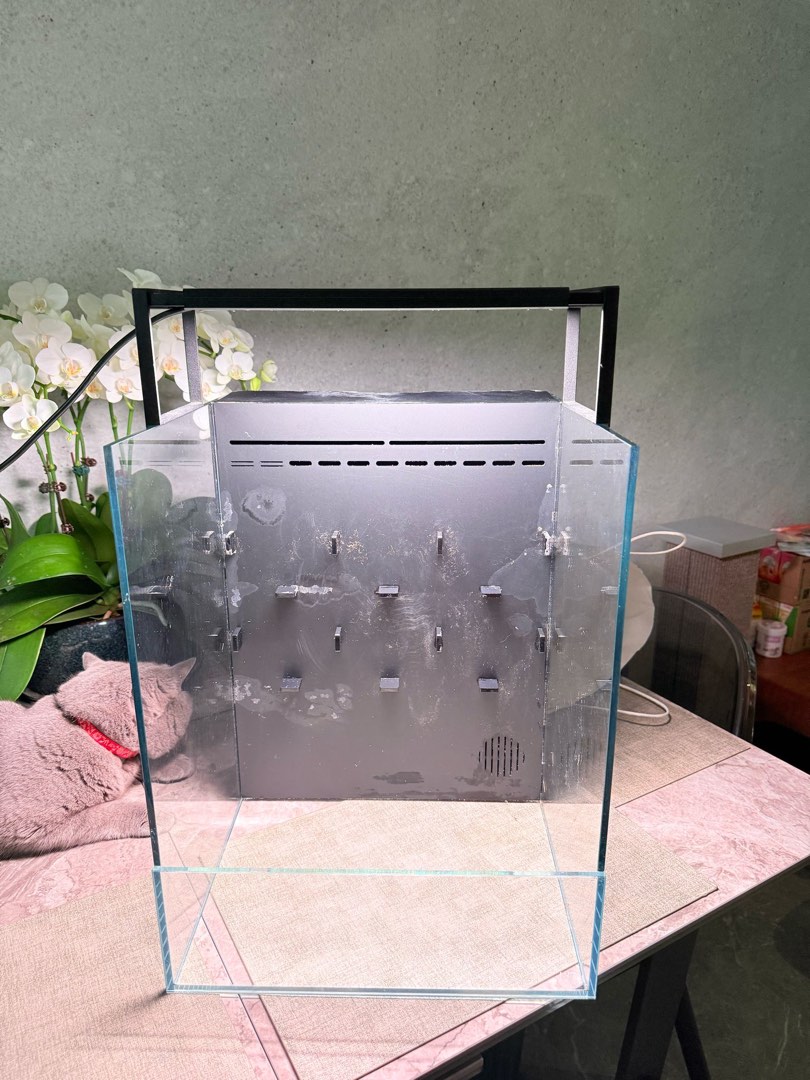 Flora tank, Pet Supplies, Homes & Other Pet Accessories on Carousell