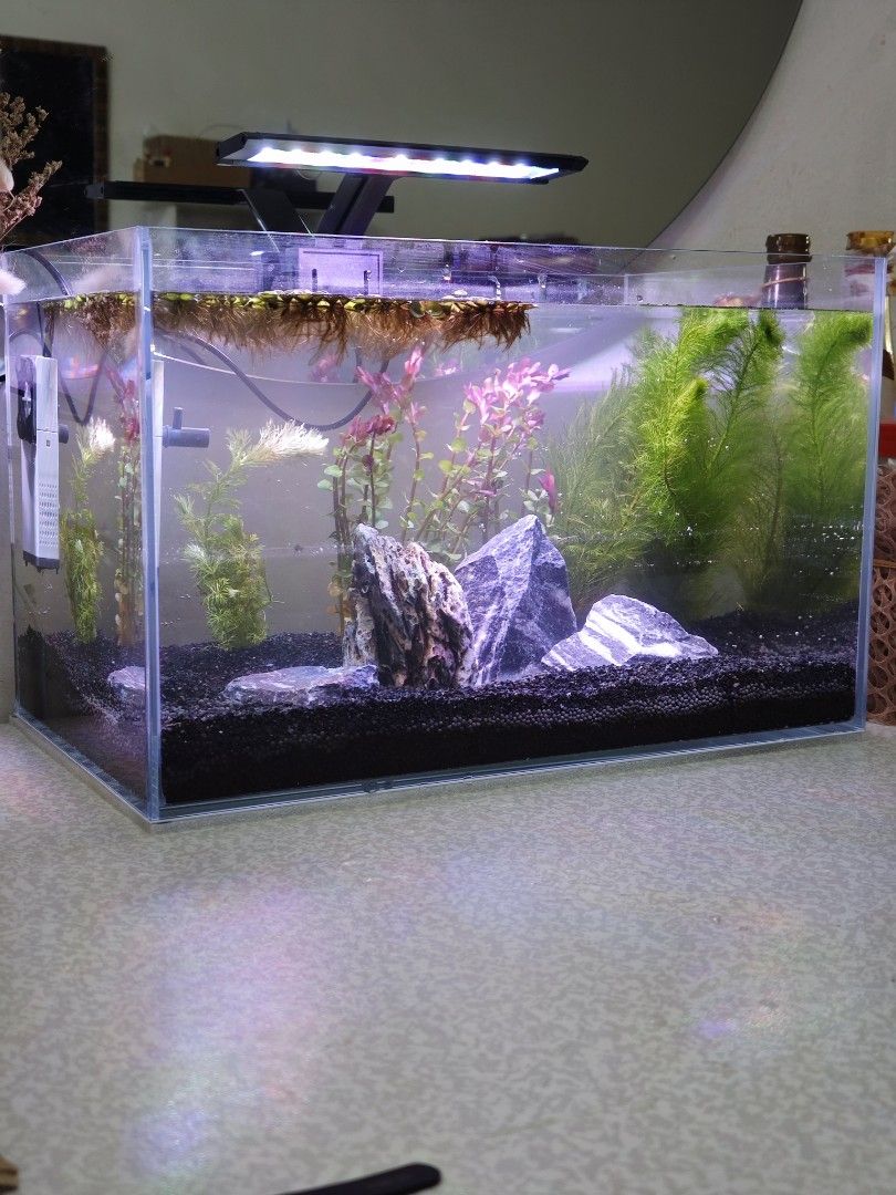 FULL SET AQUARIUM CC CRYSTAL CLEAR TANK FISH 40CM 40 CM, Pet Supplies ...