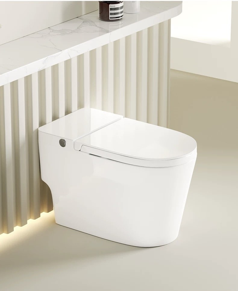 Integrated Toilet Bowl (Invisible Water Tank), Furniture & Home Living ...