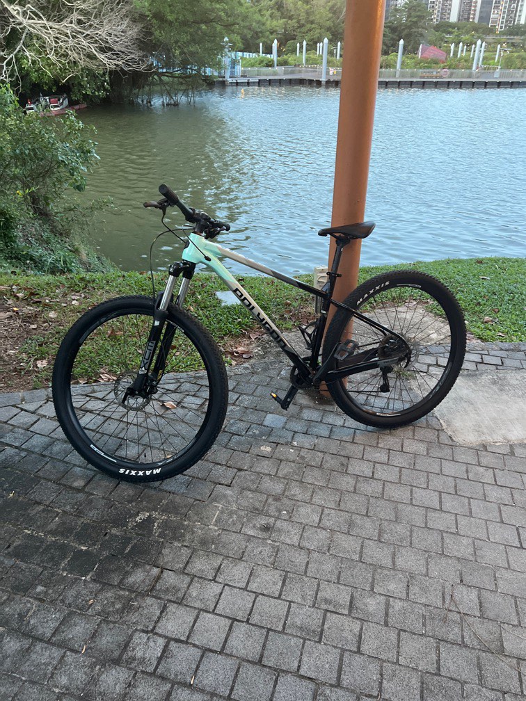 Polygon Xtrada 5 (L) 29”, Sports Equipment, Bicycles & Parts, Bicycles ...
