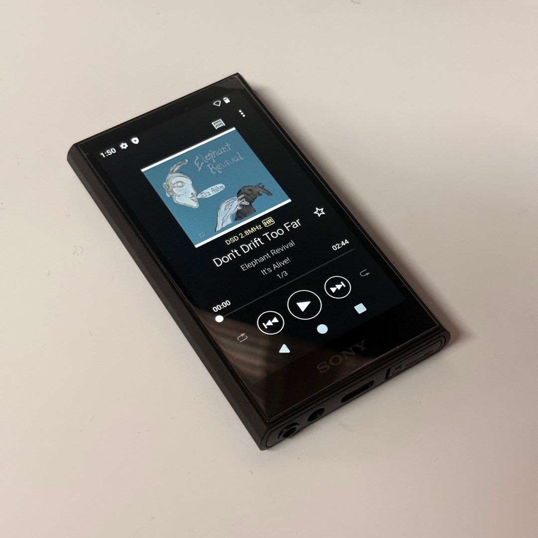 SONY NW-A306, Audio, Portable Music Players on Carousell