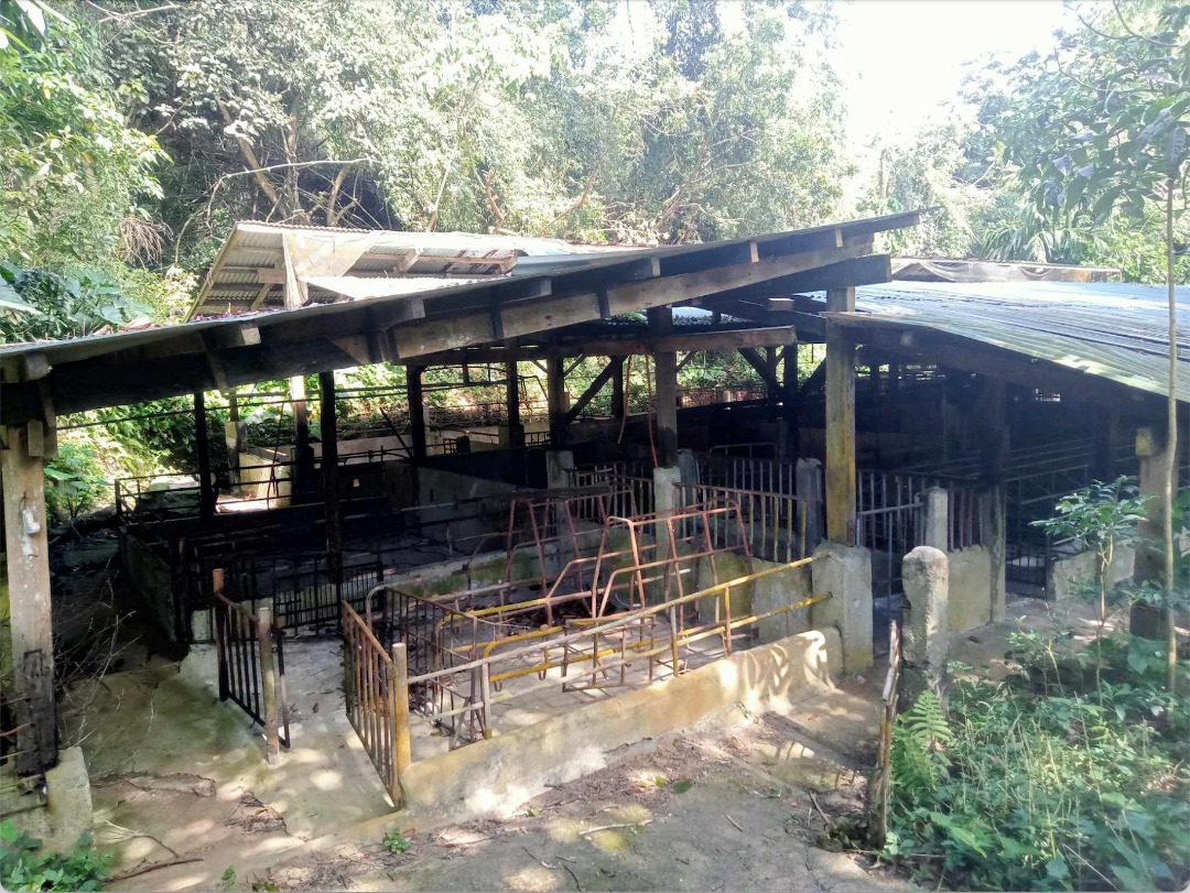 TANAY, RIZAL LOT FOR SALE, Property, For Sale, Lot on Carousell