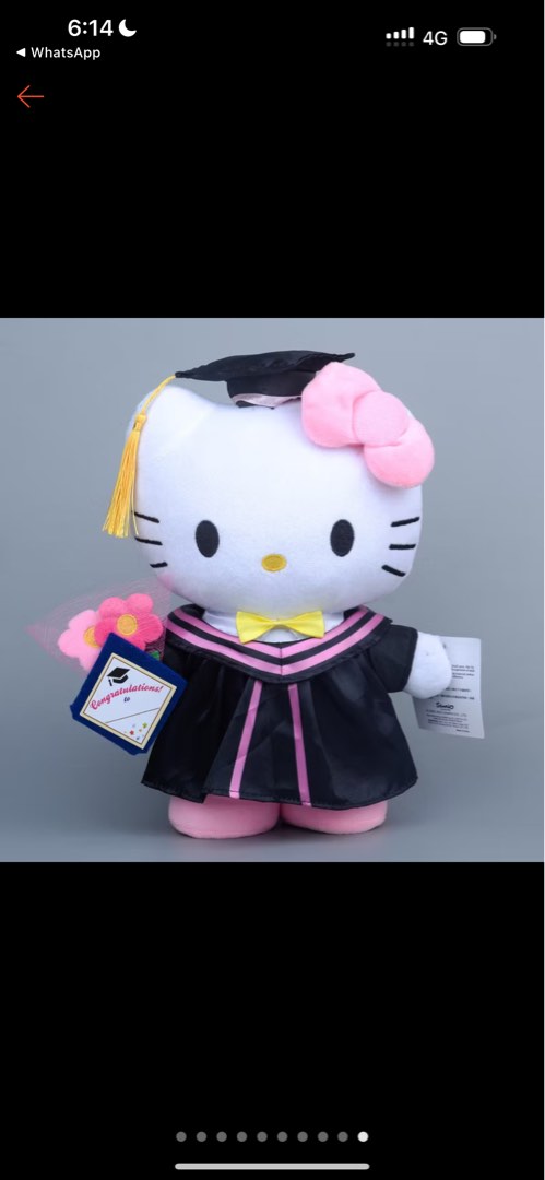 Hello Kitty graduation soft toy 25cm, Hobbies & Toys, Toys & Games on ...