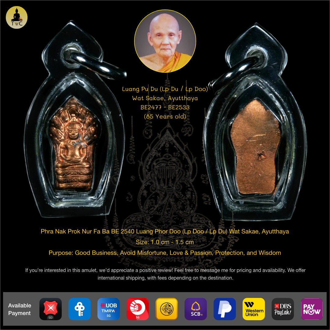 Phra Nak Prok Nur Fa Ba BE 2540 Luang Phor Doo (Lp Doo / Lp Du) Wat ...