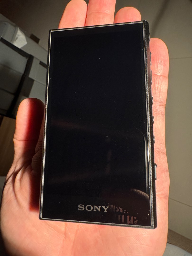 SONY NW-A306 32GB, Warranty until November 2025. Box Included on Carousell