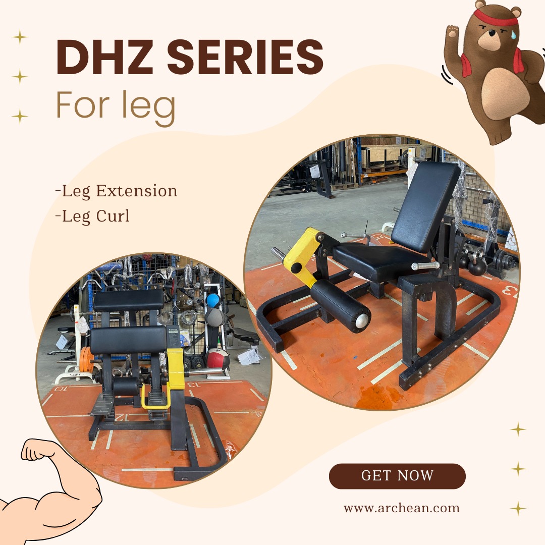 Dhz Leg Extension / Leg Curl Machine Gym Equipment, Sports Equipment ...