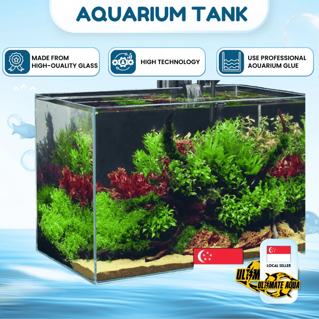 Fish Tank, Crystal Tank With 5mm Thick Glass, Transparent Fish Tank ...