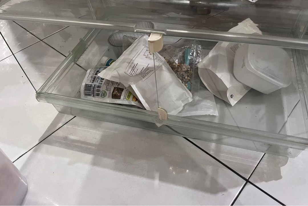 Gex Harmony 600 Plus Kandang Hamster Akrilik, Perlengkapan Hewan, Aksesoris Hewan di Carousell