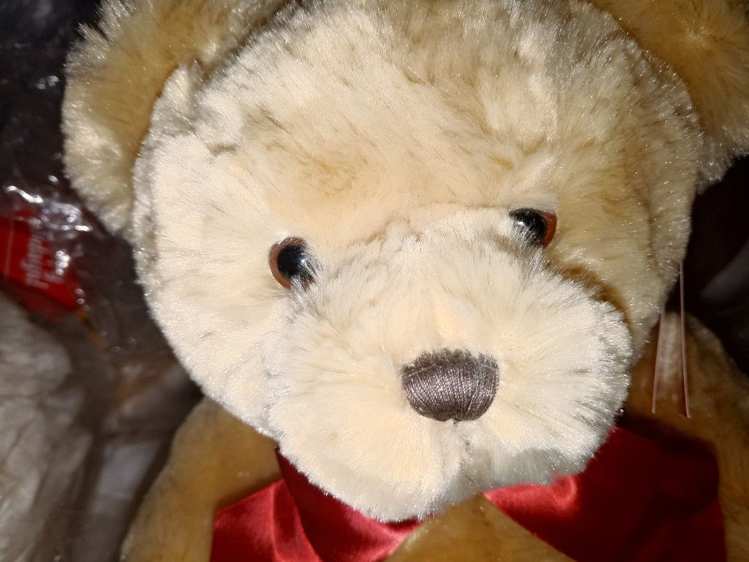 Hokkaido Sekoma Limited Keel Toys Teddy Bear Plush Kuma Chan Toy ...