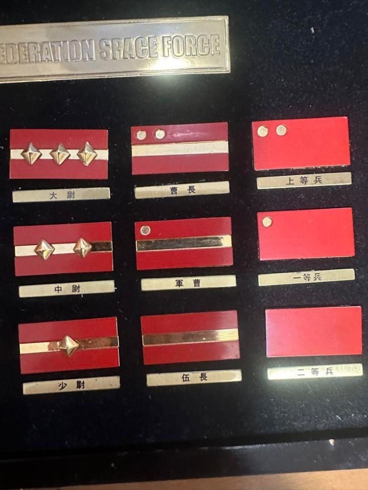 Mobile Suit Gundam E.F.S.F. Earth Federation Space Force Military Rank ...