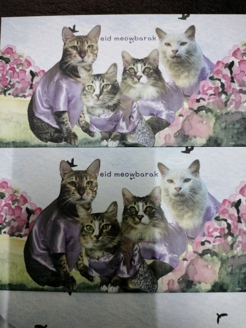 Sampul Duit Raya SDR Kucing Cat 3 pcs in 1 Set (thick), Hobbies & Toys ...