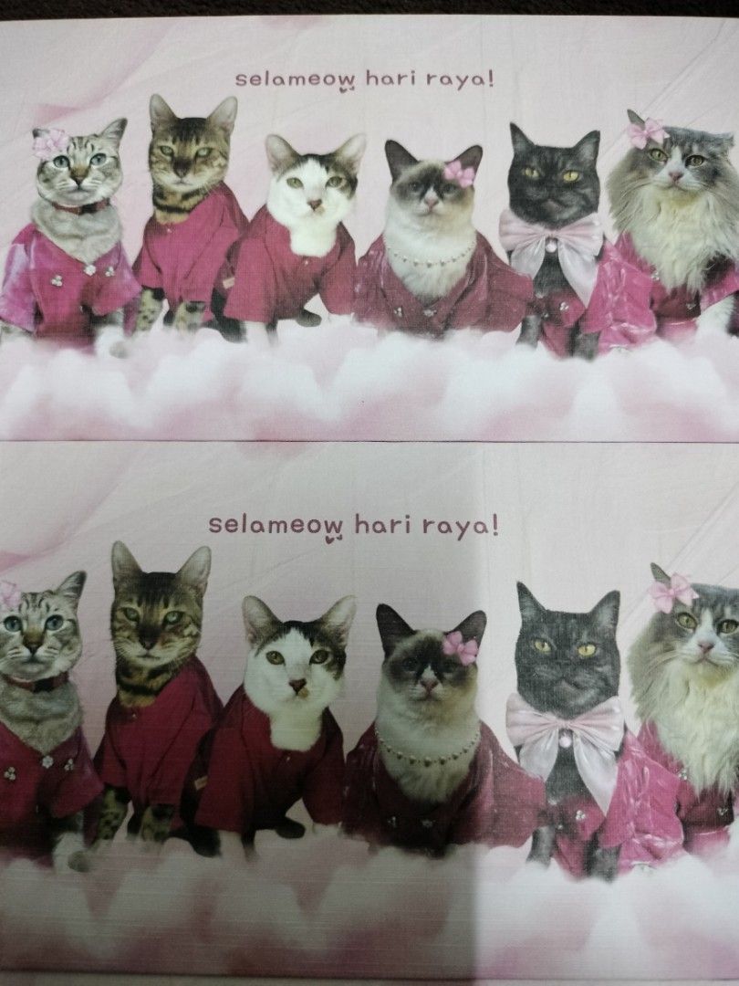 Sampul Duit Raya SDR Kucing Cat 3 pcs in 1 Set (thick), Hobbies & Toys ...