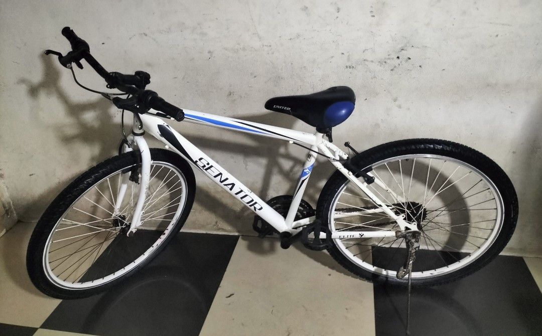 Sepeda Gunung ukuran 26 kondisi barang. Hya udh ga oper gigi jdi singel ...