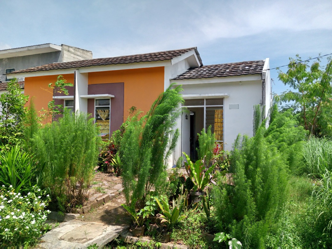 Take Over Rumah Subsidi 45 JT dkt IPB Dramaga - Perumnas Dramaga ...