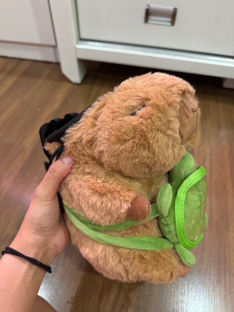 Capybara Turtle Chalk Bag, Sports Equipment, Other Sports Equipment and ...