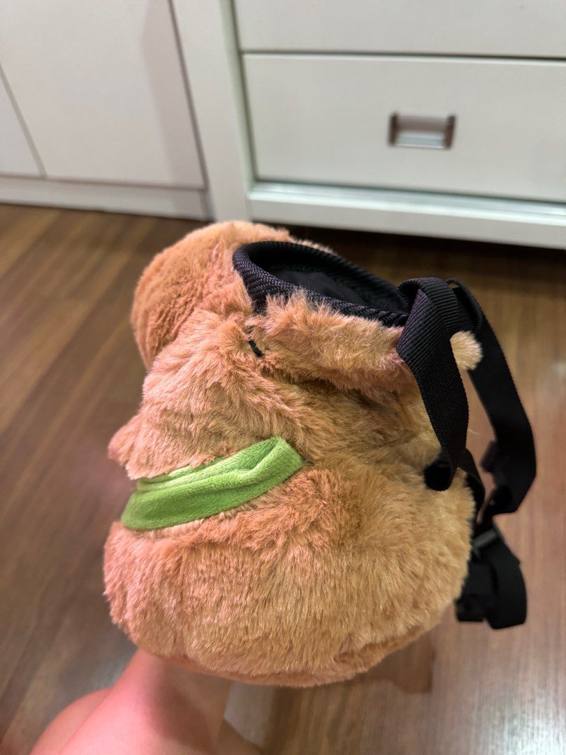 Capybara Turtle Chalk Bag, Sports Equipment, Other Sports Equipment and ...