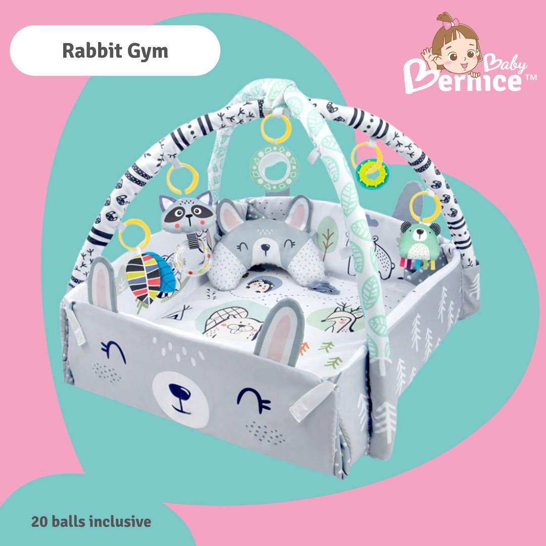 [FREE DELIVERY] 4 in 1 Baby Activity Gym and Activity Ball Pit, Babies ...