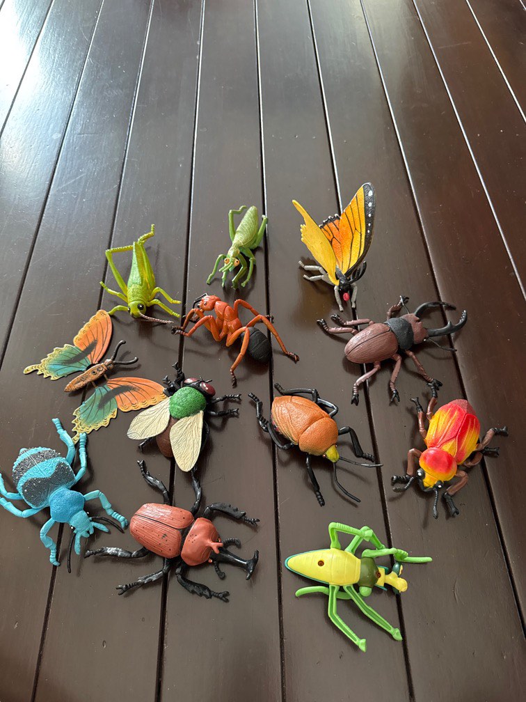 insect, Hobbies & Toys, Toys & Games on Carousell