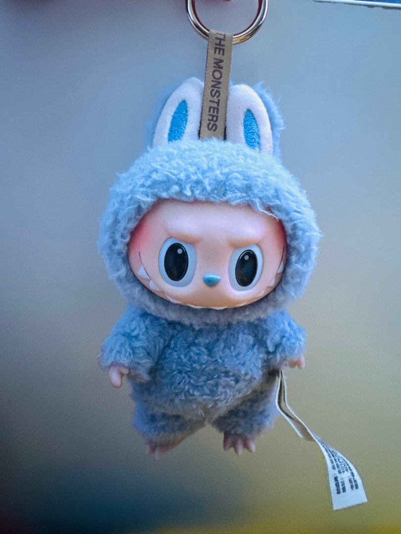 Labubu Sea Salt with Outfit & Shoes, Hobbies & Toys, Toys & Games on ...