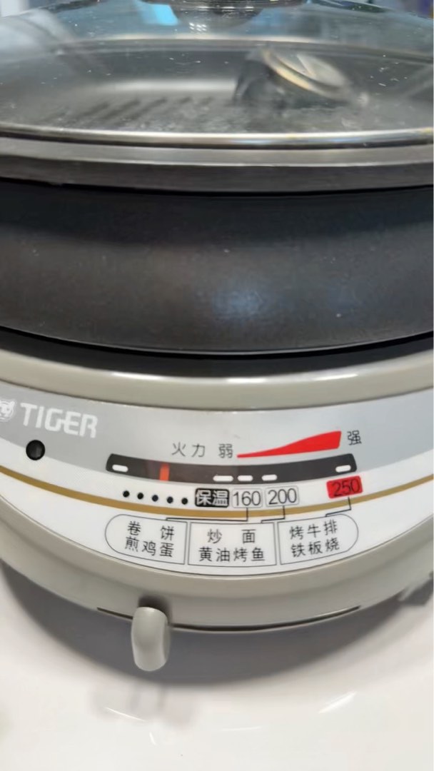 Tiger Electric Grill, TV & Home Appliances, Kitchen Appliances, BBQ ...