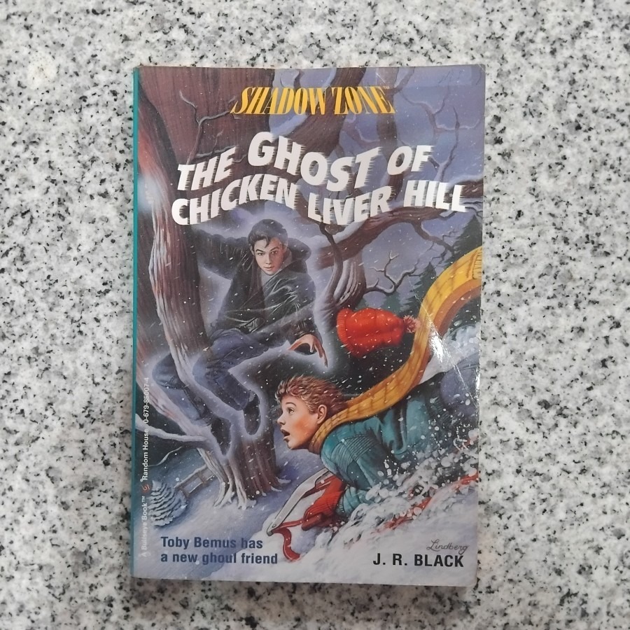 Buku The Ghost of Chicken Liver Hil Shadow Zone English Novel Original ...