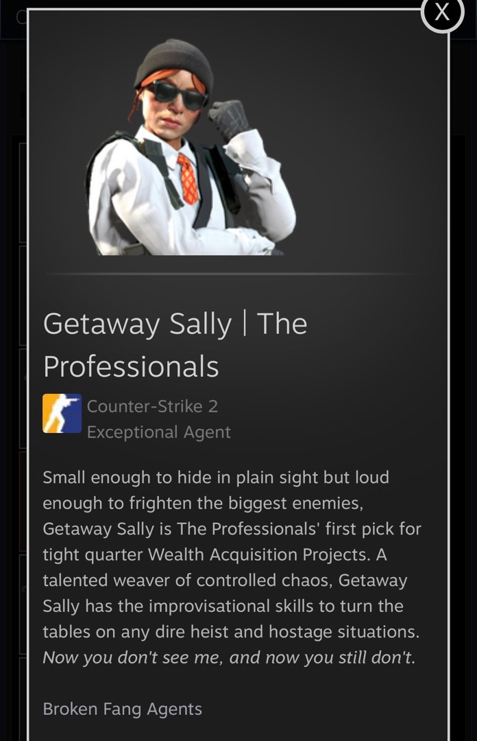 CS2 Agent Getaway Sally|The Professionals, Video Gaming, Video Games ...