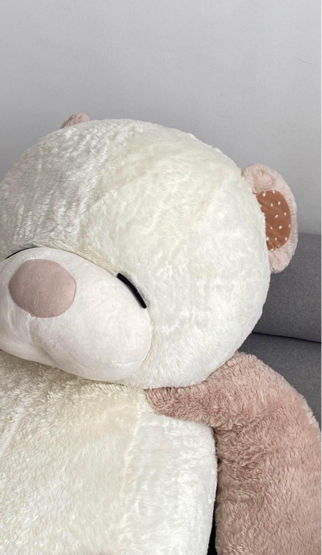 Kaison Giant Teddy Bear, Hobbies & Toys, Toys & Games on Carousell