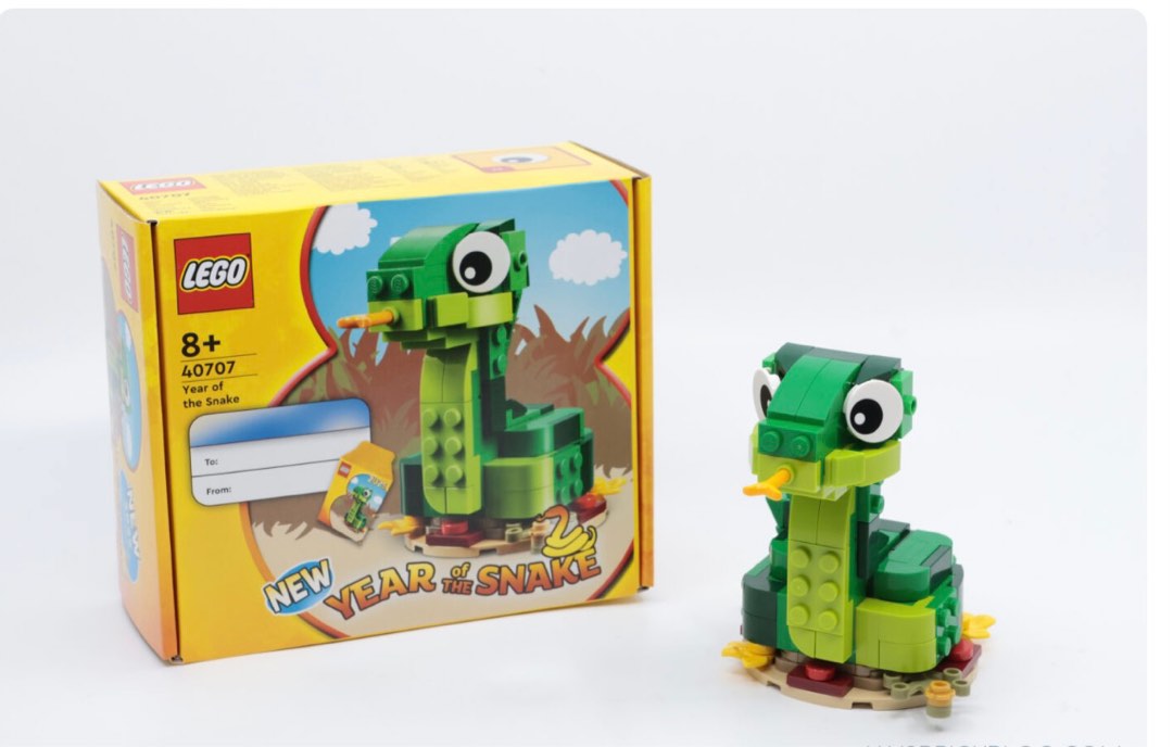 Snake lego year 2025, Hobbies & Toys, Toys & Games on Carousell