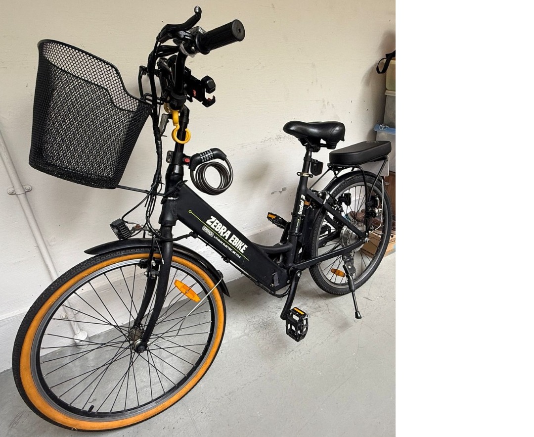 Zebra Gen 3 Ebike $500, Sports Equipment, PMDs, E-Scooters & E-Bikes, E ...