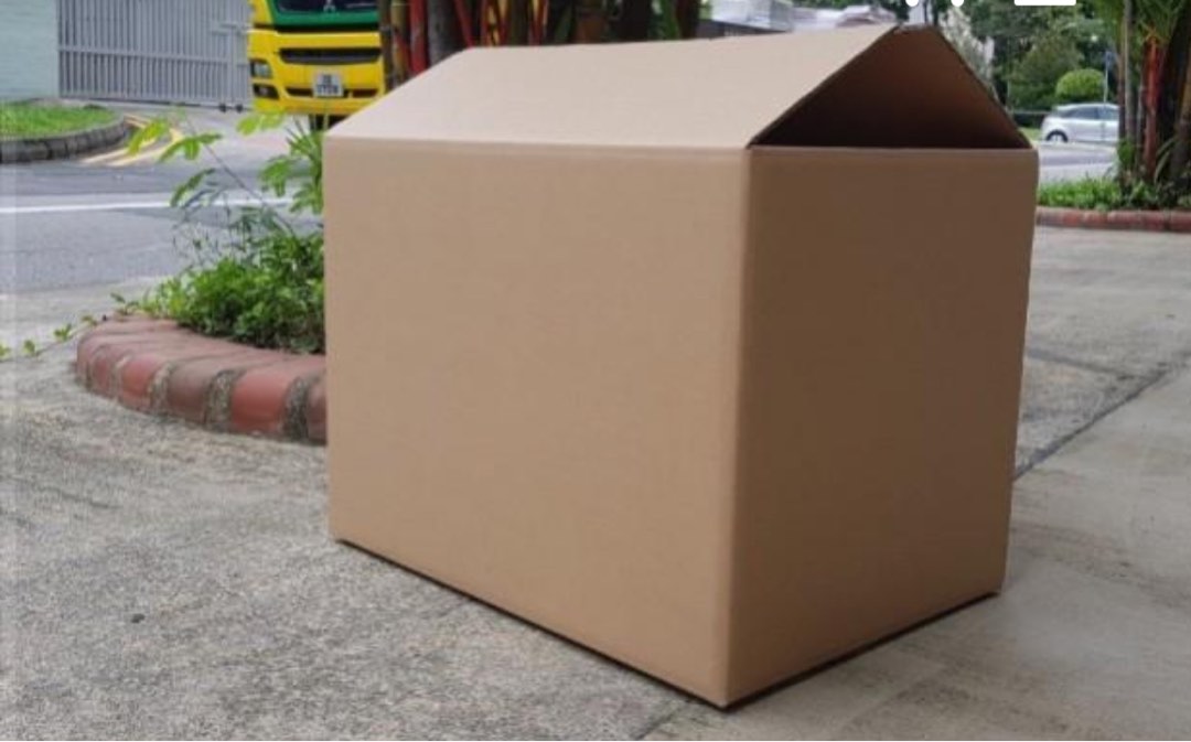 Carton box, Furniture & Home Living, Home Improvement & Organisation ...