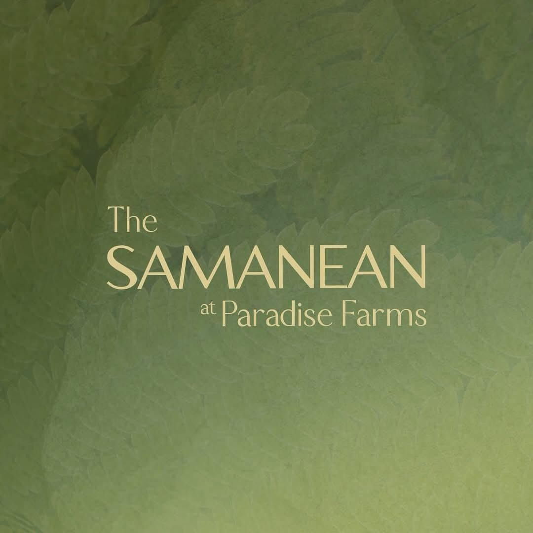 Introducing Rockwell’s First Horizontal Development in Bulacan - The ...