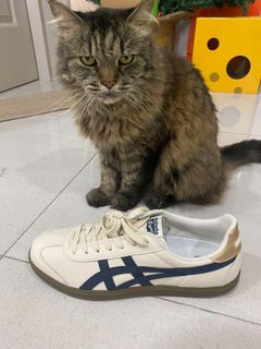 tokuten birch navy - View all tokuten birch navy ads in Carousell ...