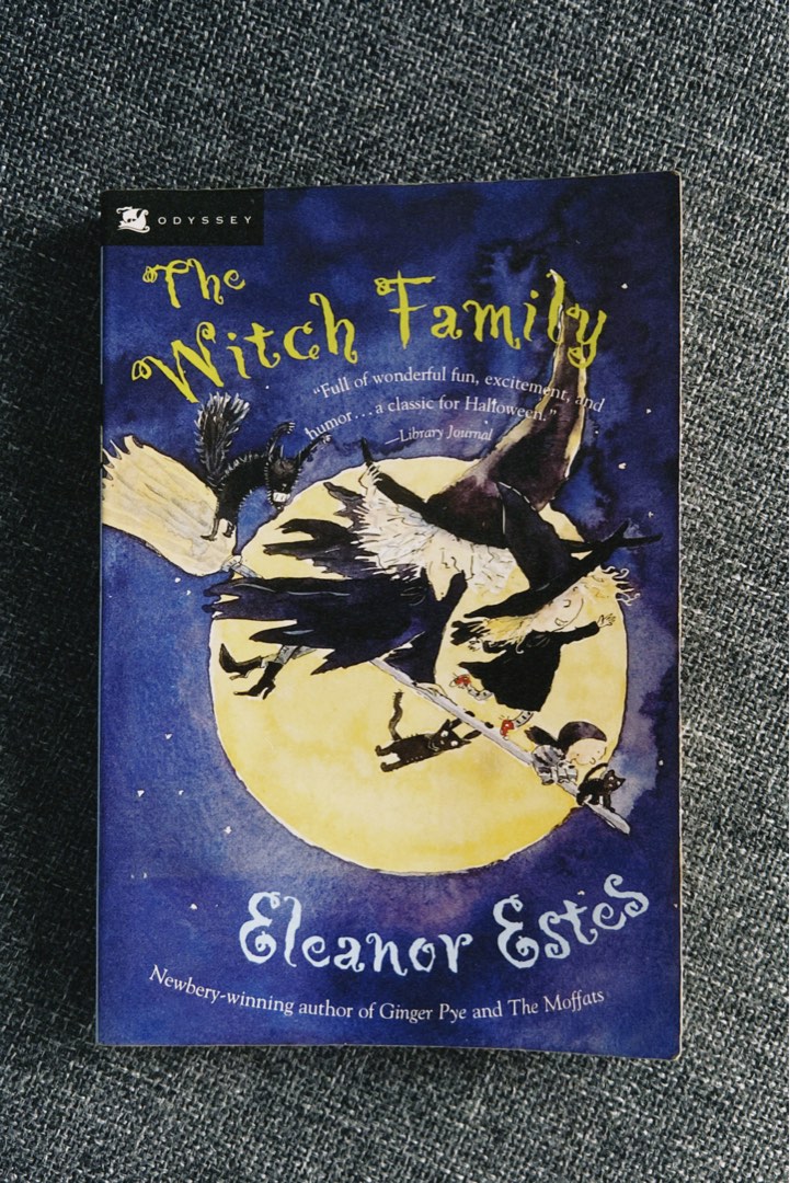 The Witch Family by Eleanor Estes, Hobbies & Toys, Books & Magazines ...