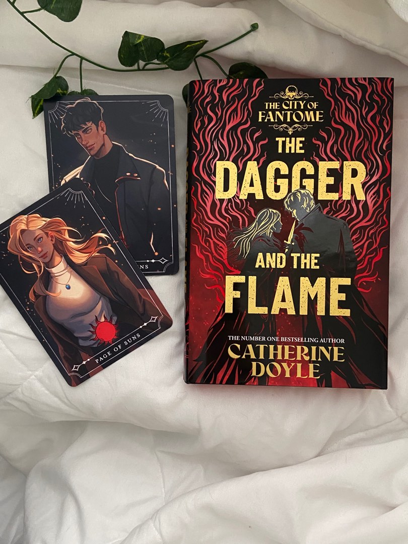 The Dagger and the Flame Fairyloot Exclusive Edition, Hobbies & Toys ...