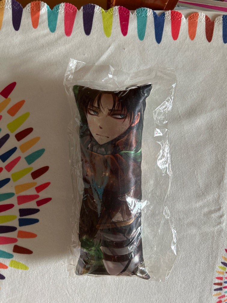 Attack on Titan Levi pencil case, Hobbies & Toys, Stationery & Craft ...